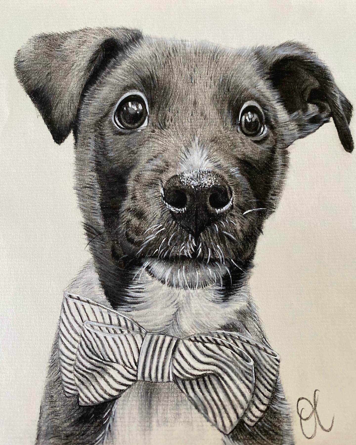 Olivia Colletti – The Albion Review